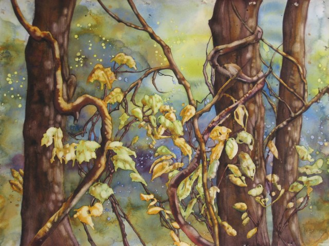 Watercolours | heather macintosh – spiders in the studio