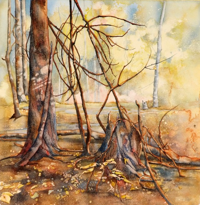 Watercolours | heather macintosh – spiders in the studio